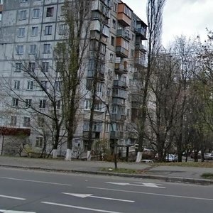 Mytropolyta Vasylia Lypkivskoho Street, No:3, Kiev: Fotoğraflar