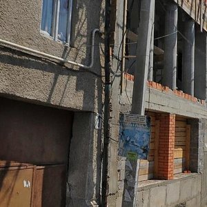 Vulytsia Vozziednannia, No:5, Mukaçeve: Fotoğraflar