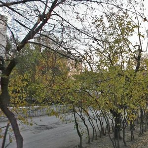 Volodarskogo Street, No:38, Kurgan: Fotoğraflar