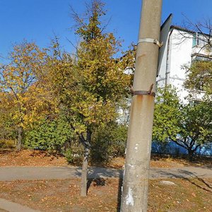 Vulytsia Vasylia Serhiienka, No:34, Zaporoje: Fotoğraflar