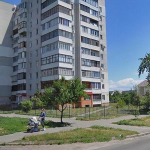 Rizdviana vulytsia, No:91, Çerkassi: Fotoğraflar