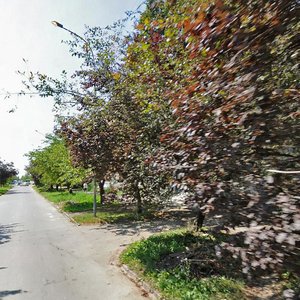 Vulytsia Marii Zankovetskoi, No:38, Ujgorod: Fotoğraflar