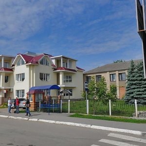 Botanichna vulytsia, No:31, Vinica: Fotoğraflar