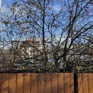 Avtomobilniy Lane, No:141/1, Soçi: Fotoğraflar