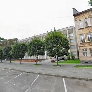Vulytsia Kostiantyna Levytskoho, No:67, Lviv: Fotoğraflar