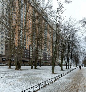 Kosmonavtov Avenue, No:61к1, Saint‑Petersburg: Fotoğraflar