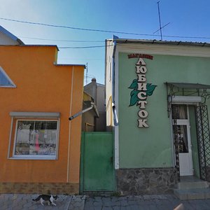 Vulytsia Habermana, No:11, Mukaçeve: Fotoğraflar