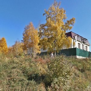 Ulitsa Borodina, No:57/1, Irkutsk: Fotoğraflar