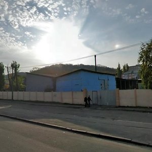 Vito-Lytovskyi Lane, No:8, Kiev: Fotoğraflar