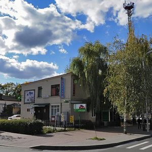 Yevropeiska vulytsia, No:12, Vishnevoye: Fotoğraflar