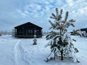 Derevnya Pyatnitsa, No:121П, Moskova ve Moskovskaya oblastı: Fotoğraflar
