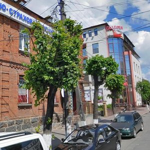 Vulytsia Arkhitektora Artynova, No:12А, Vinica: Fotoğraflar