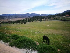 Ovaciksuyu Koyu Yolu - 1 Yolu, No:9, Osmancık: Fotoğraflar