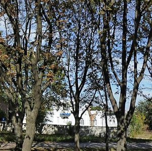 Seminarska Street, No:23А, Harkiv: Fotoğraflar
