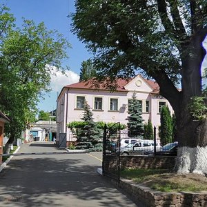 Vulytsia Lesi Ukrainky, No:19, Jytomyr: Fotoğraflar