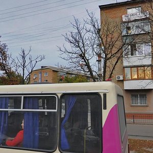 Yevropeiska vulytsia, No:1, Borispil: Fotoğraflar