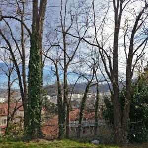 Ulitsa Bogdana Khmelnitskogo, No:6А, Tuapse: Fotoğraflar