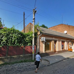 Vulytsia Oleksandra Fedyntsia, No:42, Ujgorod: Fotoğraflar
