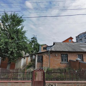 Naskriznyi provulok, No:8, Vinica: Fotoğraflar