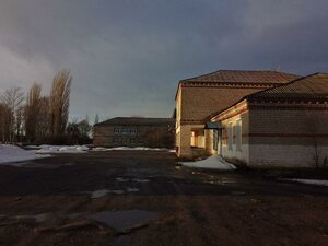 Kolkhoznaya ulitsa, No:82, Voronejskaya oblastı: Fotoğraflar