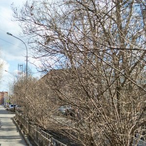 Mira Street, No:29, Yekaterinburg: Fotoğraflar
