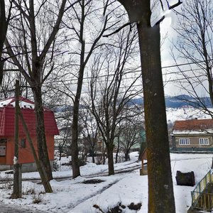 Vulytsia Myru, No:34А, Zakarpatska oblastı: Fotoğraflar